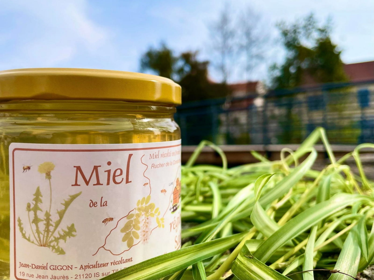 Gigon à Is-sur-Tille - Locavor.fr