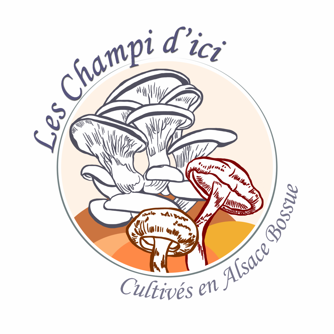 Les Champi D'ici à Drulingen - Locavor.fr