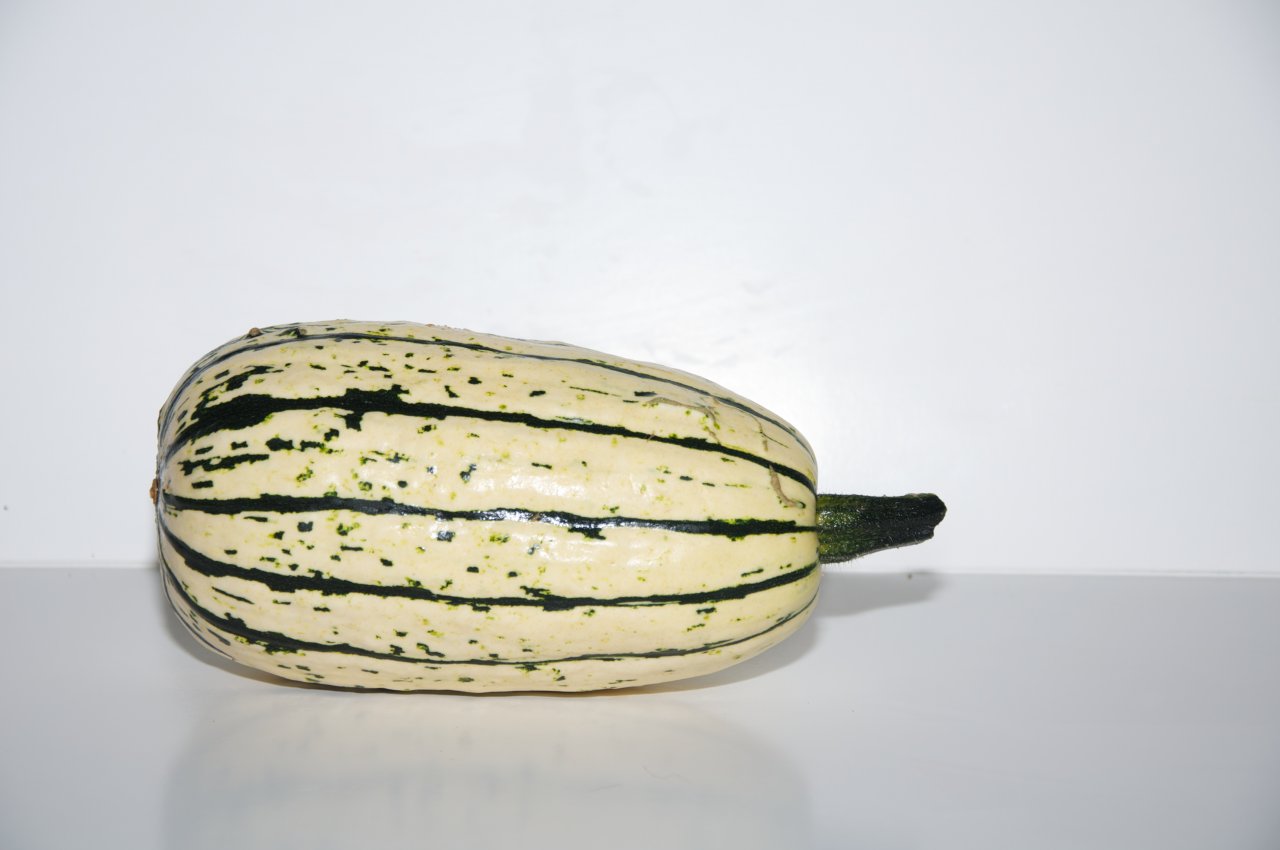 courge délicata - 1 pièce - 1 u - La Racinerie - Locavor.fr