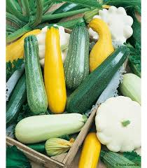 Courgettes bio et compagnie - 5 formats - La Ferme Du Beau Hue - Locavor.fr