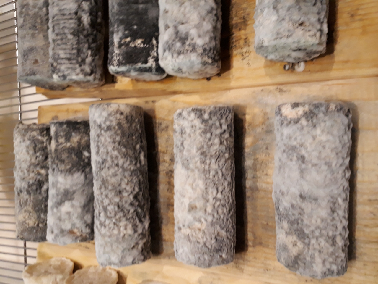 Chèvre - buchette cendré affiné - 180 g - La Chèvrerie Du Vieux Chêne ...