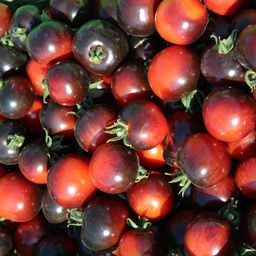 Tomate indigo - 500 g - La Ferme Des Délices Du Jardin D'ainval ...