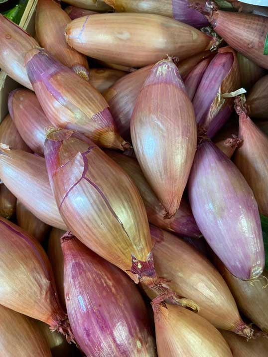 Echalote bio. - 3 formats - Vit'actif - Locavor.fr