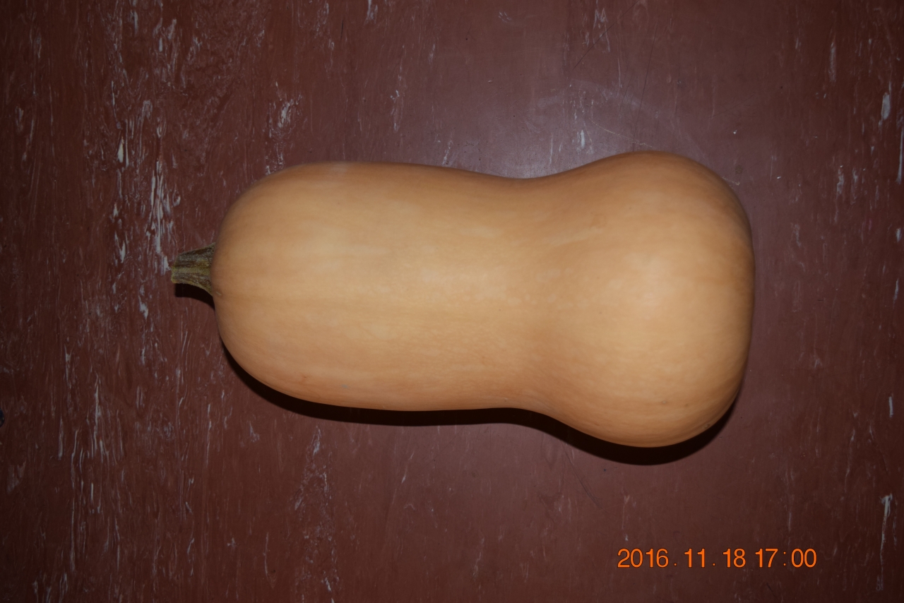 Butternut - 1 kg - Les Jardins De La Brutz - Locavor.fr