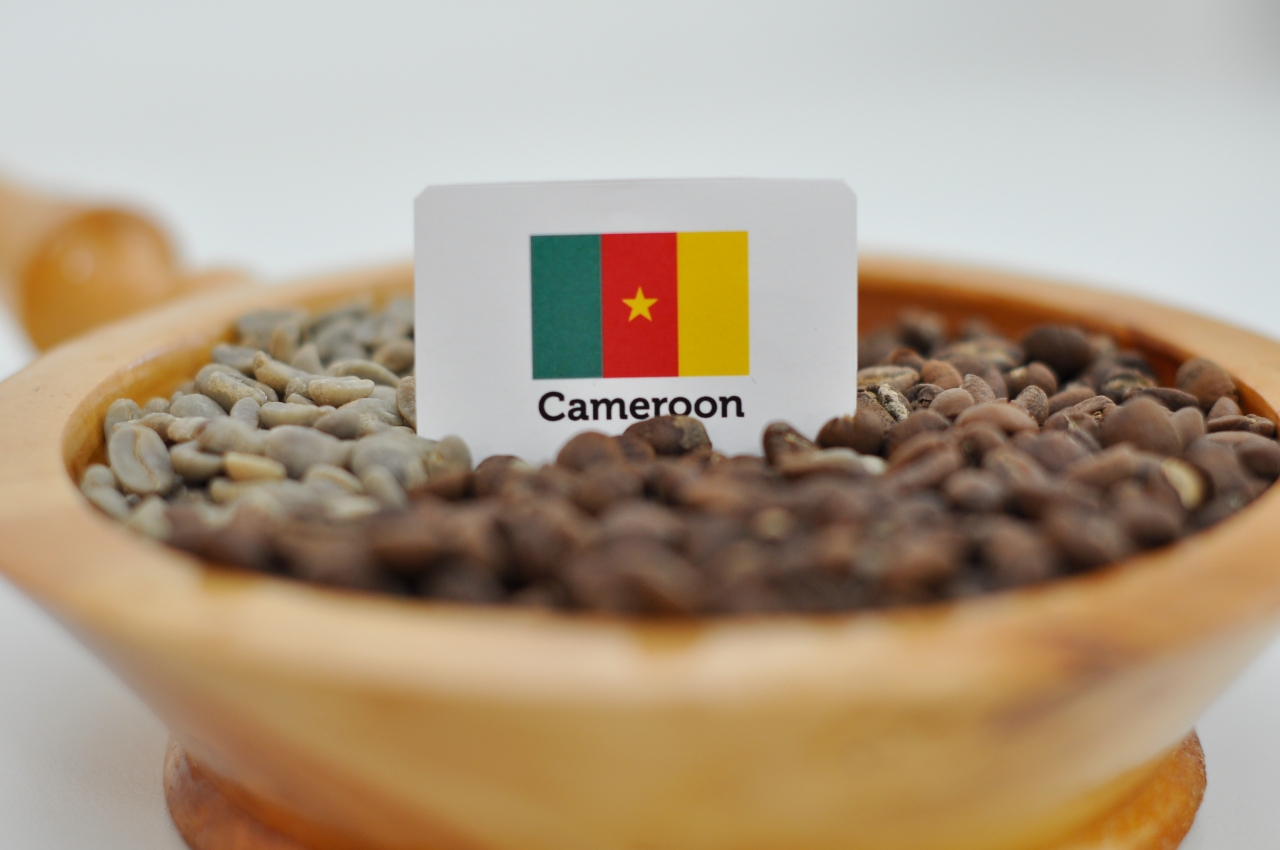 Café du cameroun - région ouest - arabica java - en grains - 1 kg ...