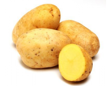 Marabel - 10 kg - Earl Du Marraud - Locavor.fr