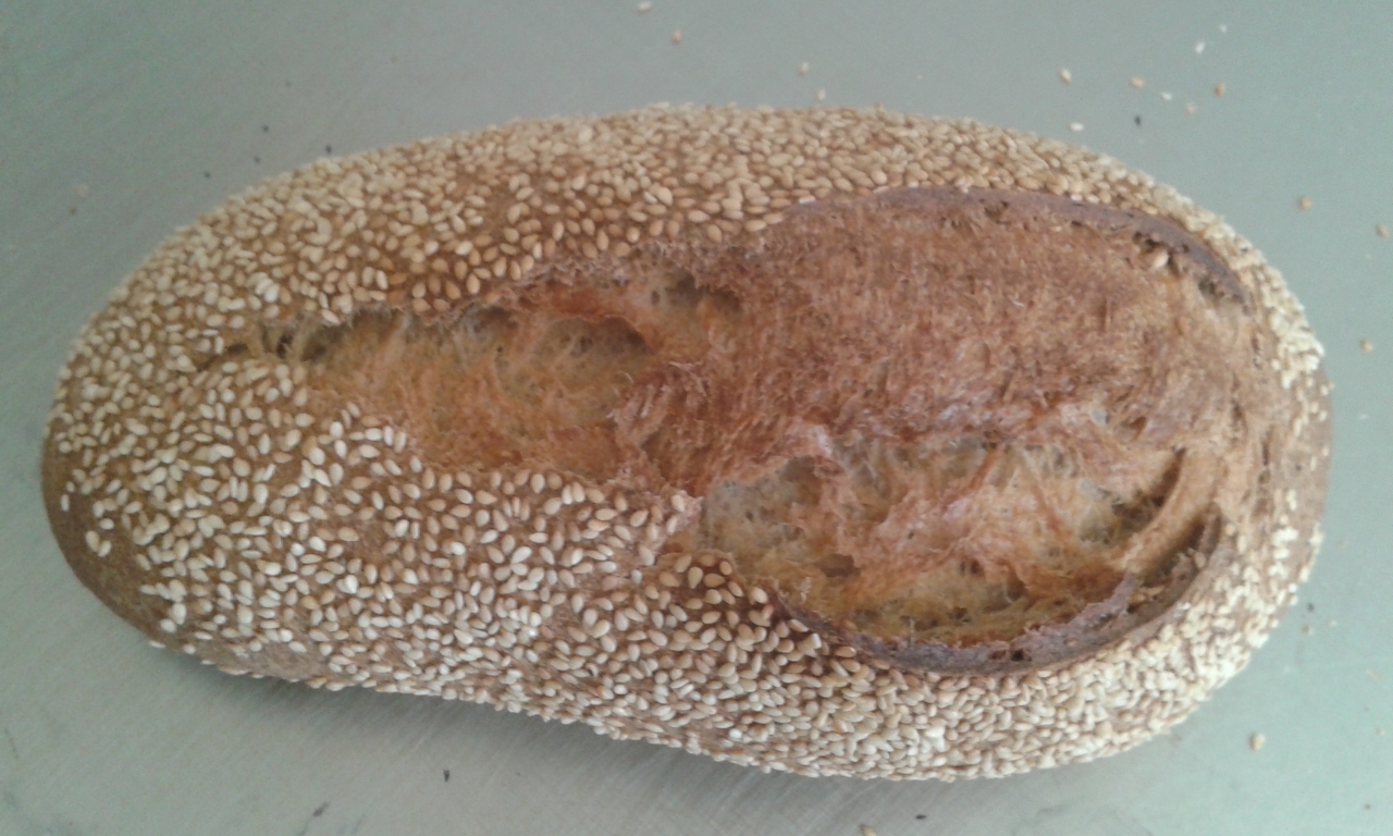 Pain au sésame bio - 3 formats - Le Pain Des Collines - Locavor.fr