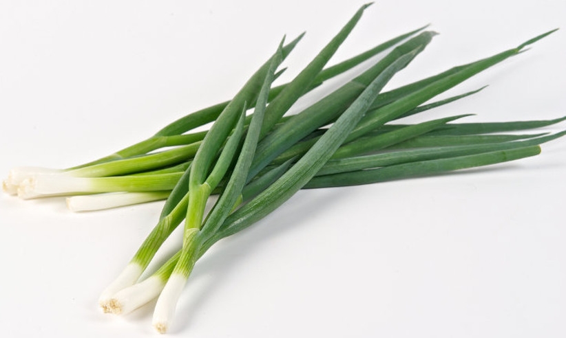 Ciboule bio - 1 u - La Ferme D'aja - Locavor.fr