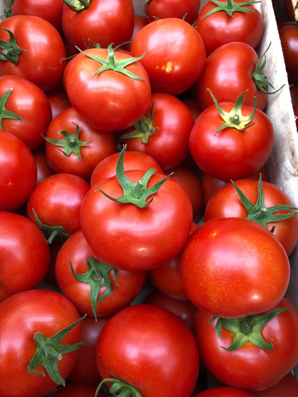 Tomates rondes gloriettes - 1 kg - Legumes De Rudy - Locavor.fr