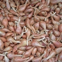 Echalotes grise (veritable) 500gr - 500 g - Couleur Cafe - Locavor.fr