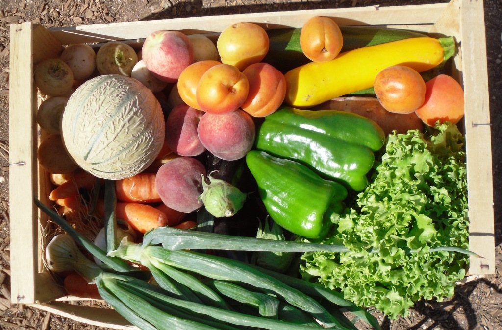 Panier bio légumes/fruits (moyen 3 - 1 u - Kere Alphonse - Locavor.fr