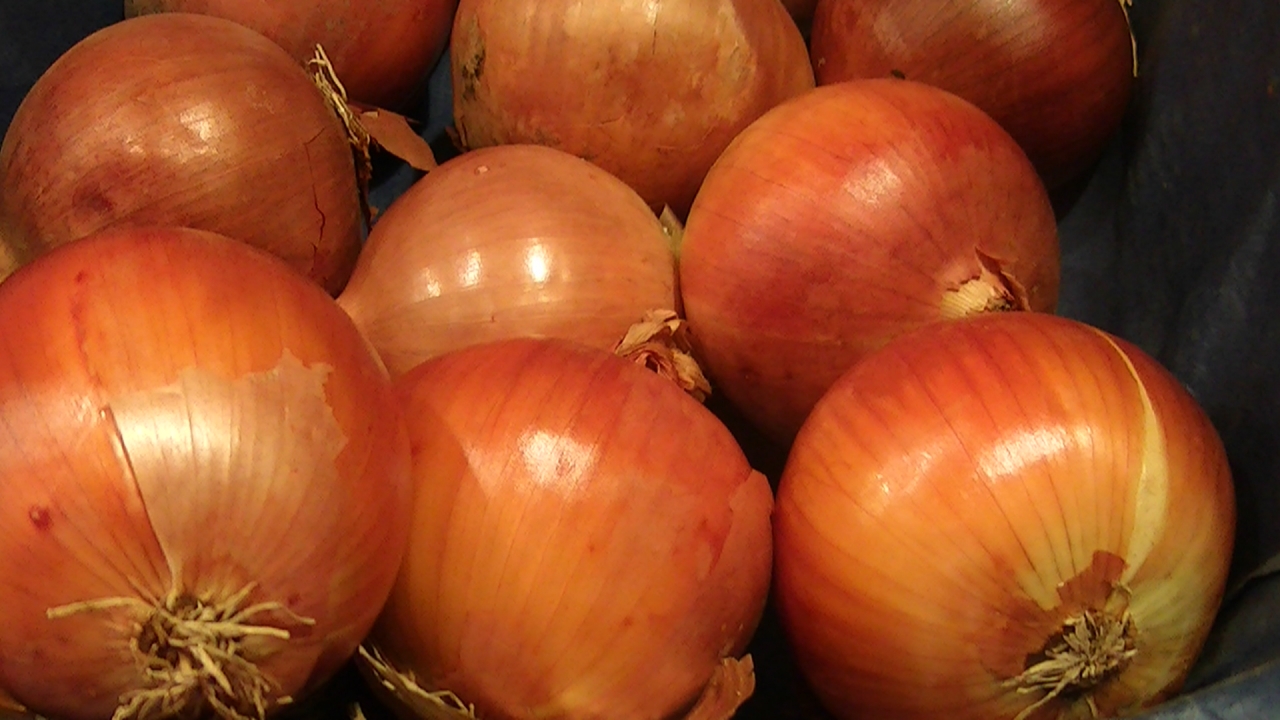 Oignons jaunes nouveaux en bottes - 1 u - Catherine Rousseau Fruits Et ...