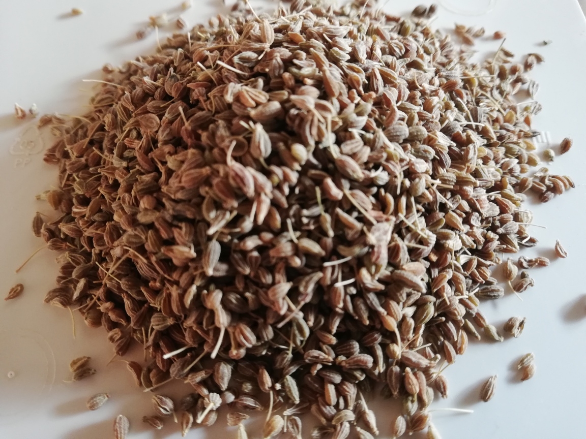 Anis vert grains - 40 g - Epi C Bio - Locavor.fr