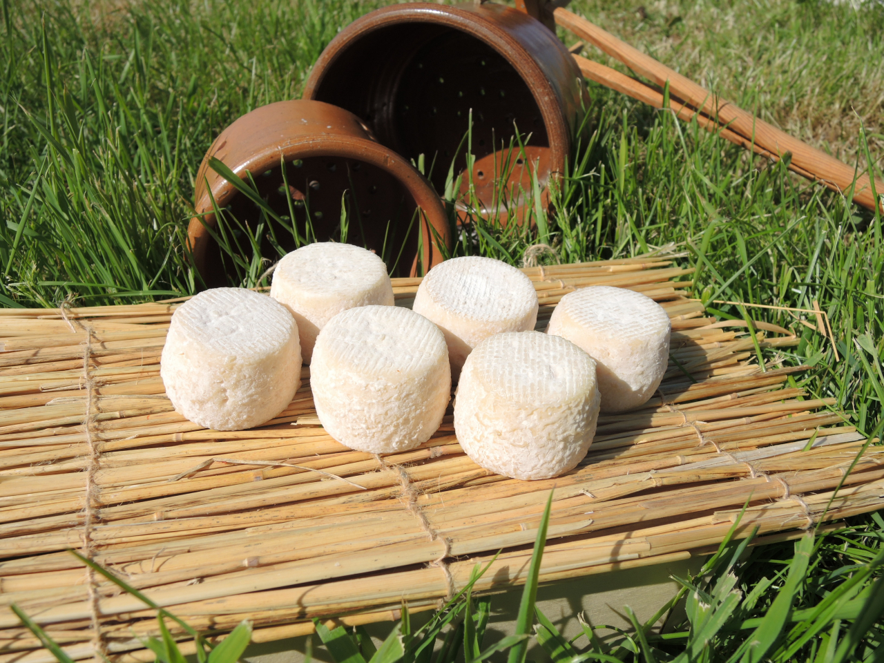 Crottin de chevre bio sec - 50 g - Earl De Montriveau - Locavor.fr