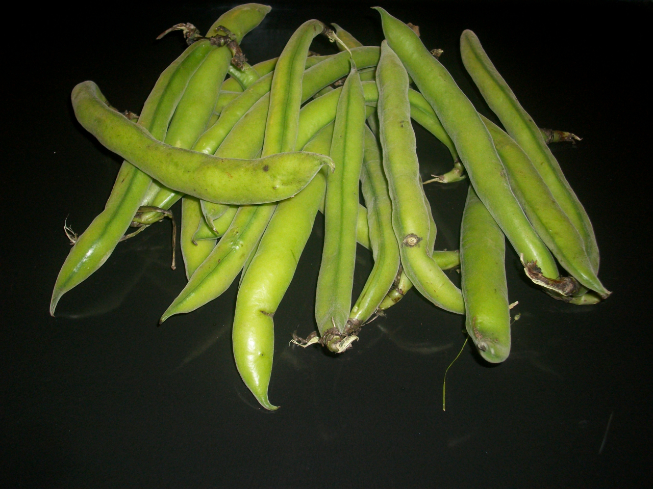 Fèves - 500 g - Les Jardiniers De St Germain - Locavor.fr