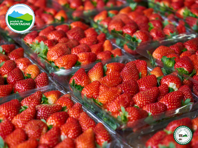 Fraise ronde - 500 g - Sasu Les Jardins Auvergnats - Locavor.fr