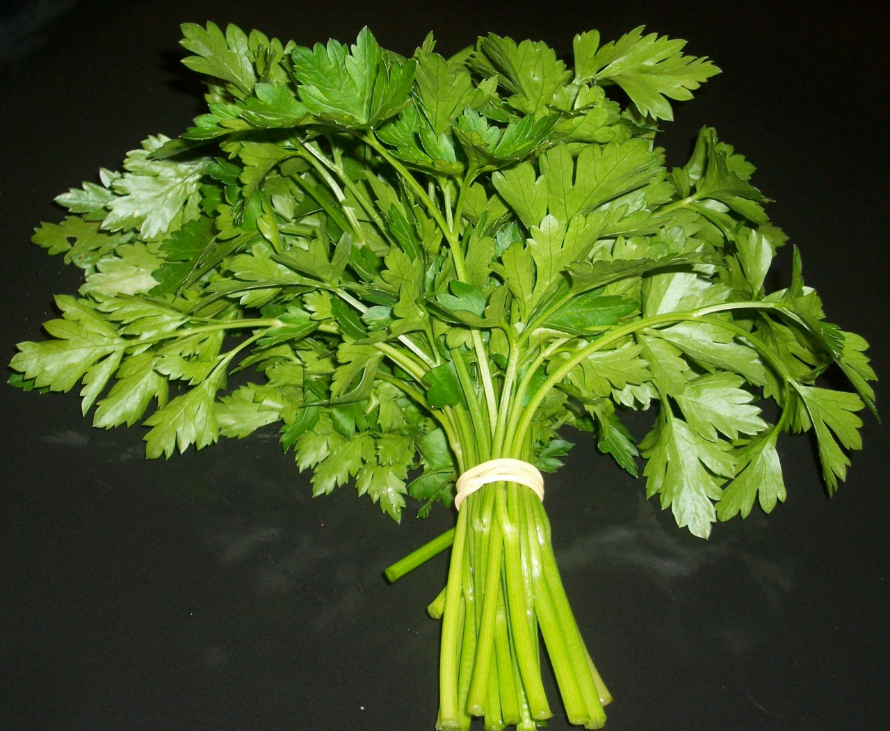 Persil - 1 u - Les Jardiniers De St Germain - Locavor.fr