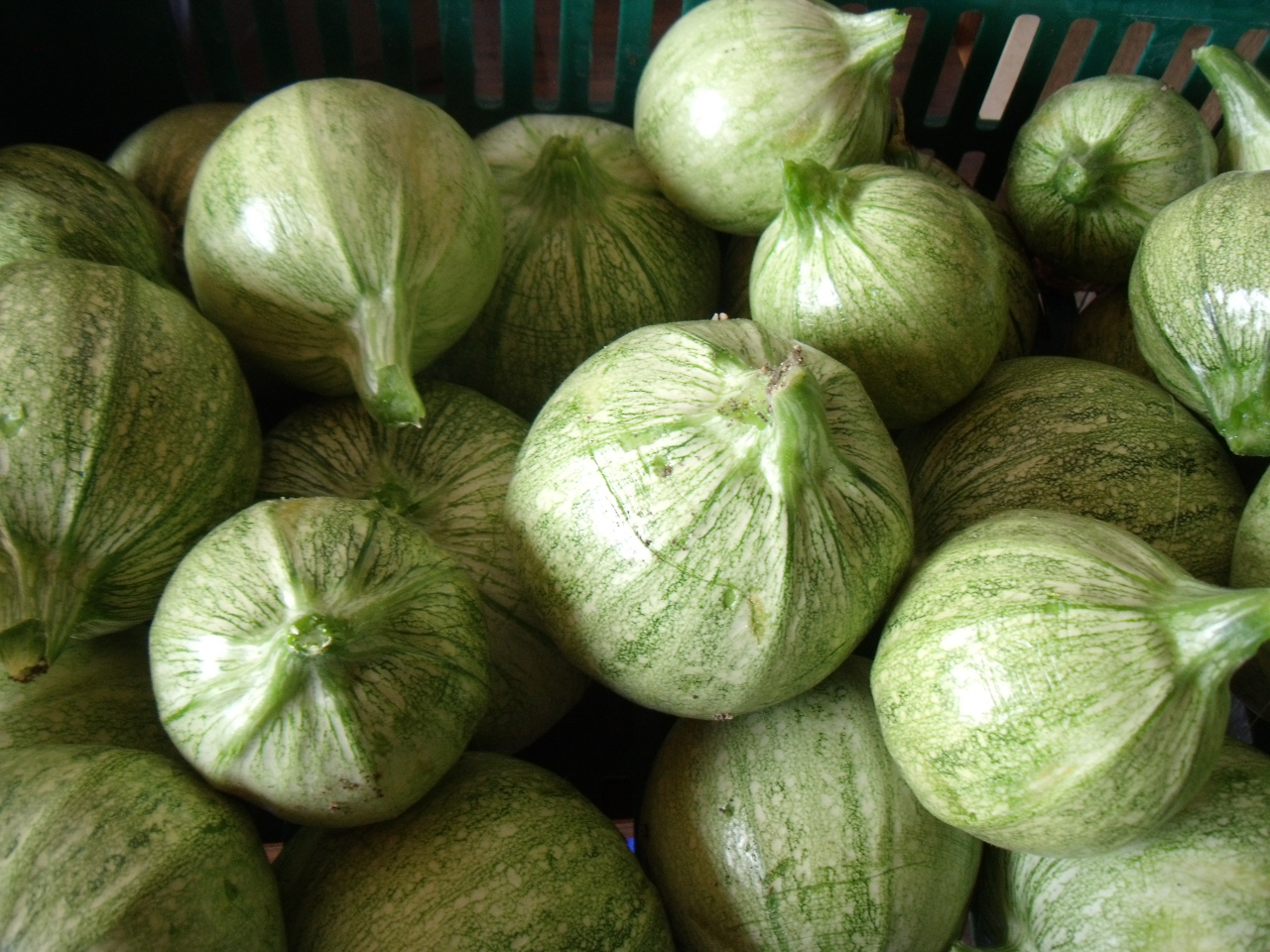 Courgette ronde jaune ou verte - 1 kg - Catherine Rousseau Fruits Et ...