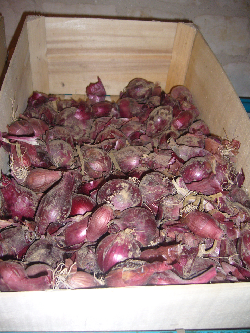 Echalotes bio - 2 formats - La Ferme Du Chassy - Locavor.fr