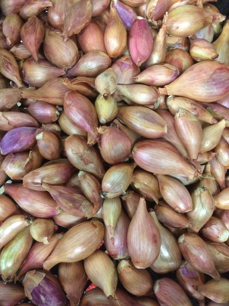 Echalote - 150 g - La Ferme Bio De Marillat - Locavor.fr