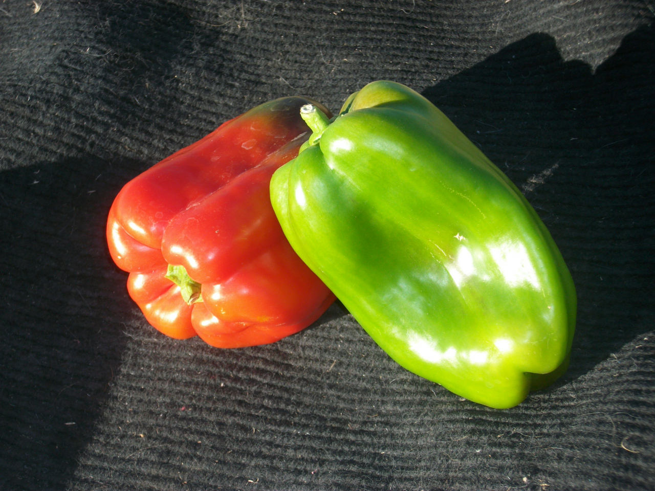 Poivrons - 500 g - Les Jardiniers De St Germain - Locavor.fr