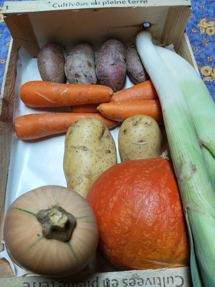 Panier de légumes d'automne - 6 kg - Le Potager De Couleau - Locavor.fr