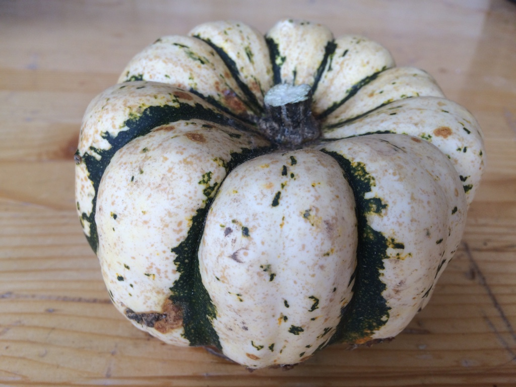 Courge patidou - 1 u - La Ferme Bio De Marillat - Locavor.fr