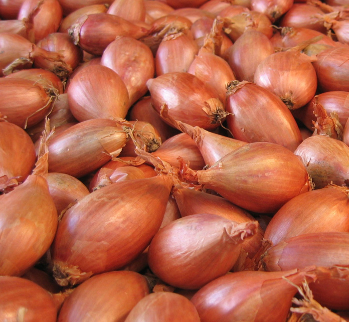 échalotes - 300 g - Earl Au Potager Du Bec De L'isle - Locavor.fr