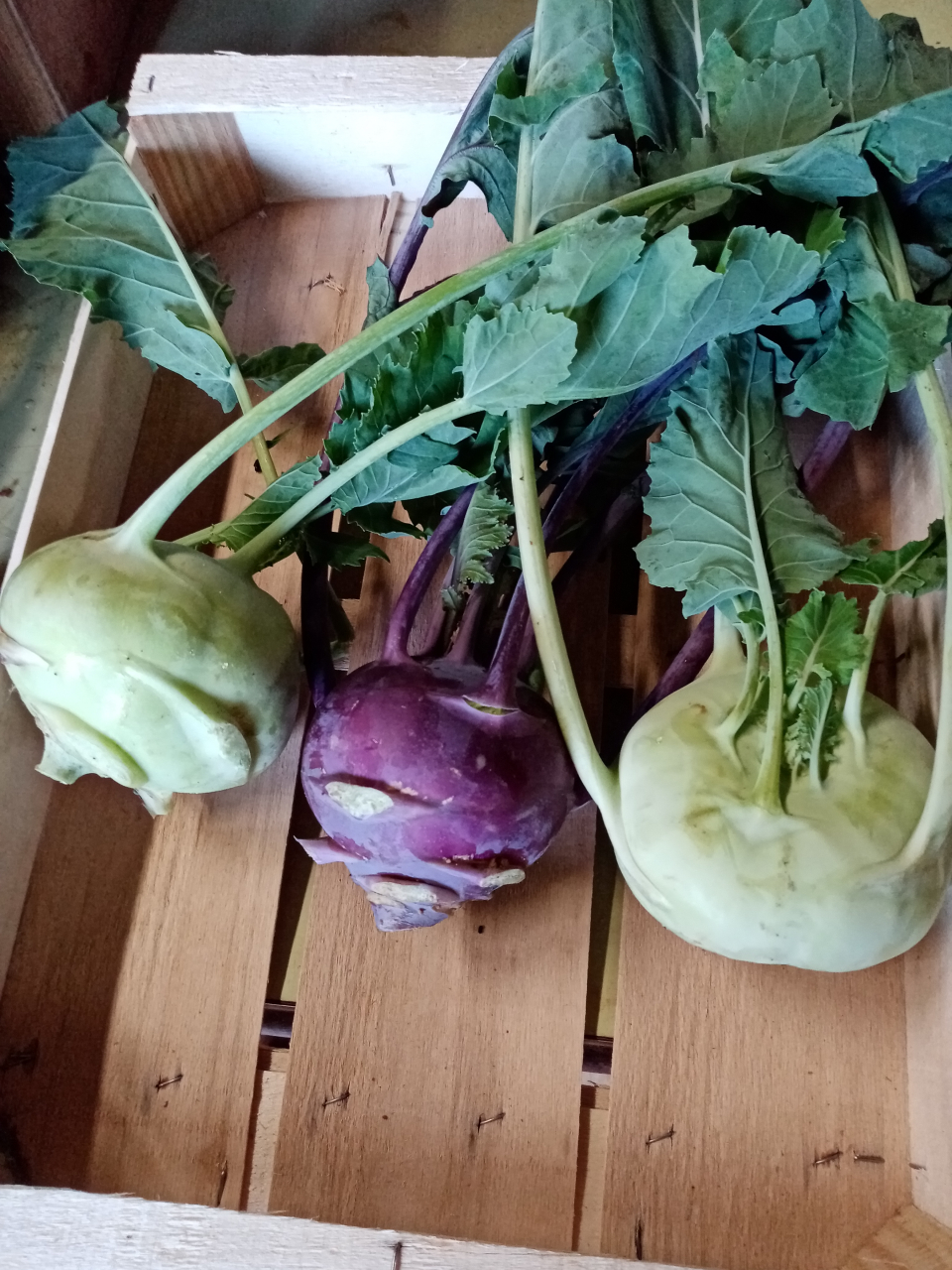 Chou rave - 500 g - Gaec Le Grand Potager - Locavor.fr