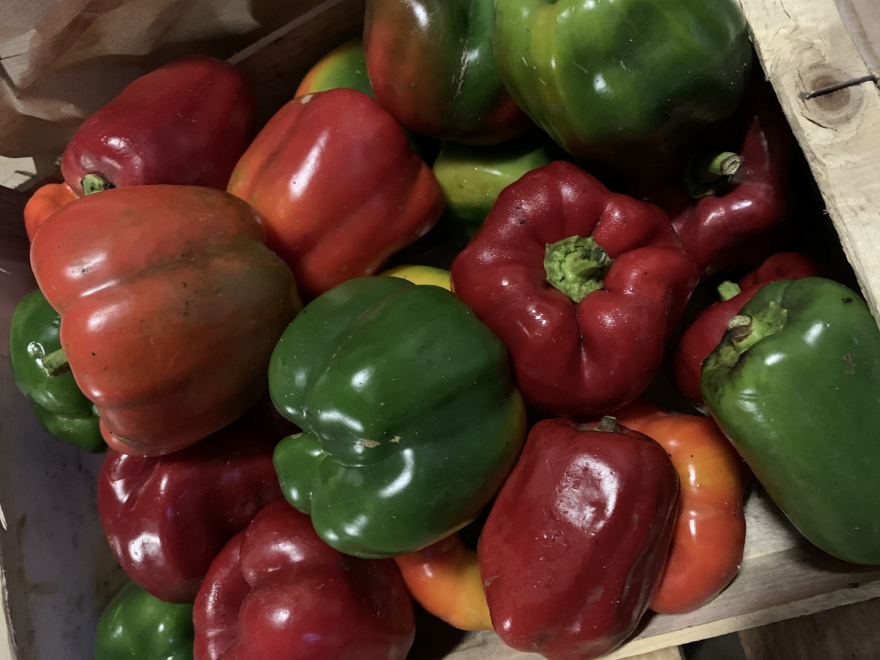 Poivrons bio - 500 g - Les Champs Bio - Locavor.fr