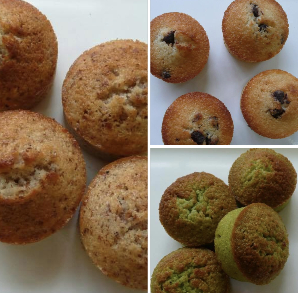 Financiers assortiment - 2 formats - Les Biscuits De Lucie - Locavor.fr