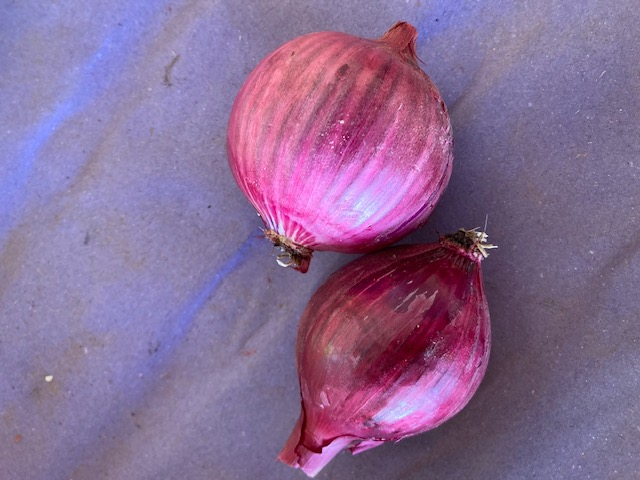 Oignons rouge conservation. - 1 kg - Earl De Laliment - Locavor.fr