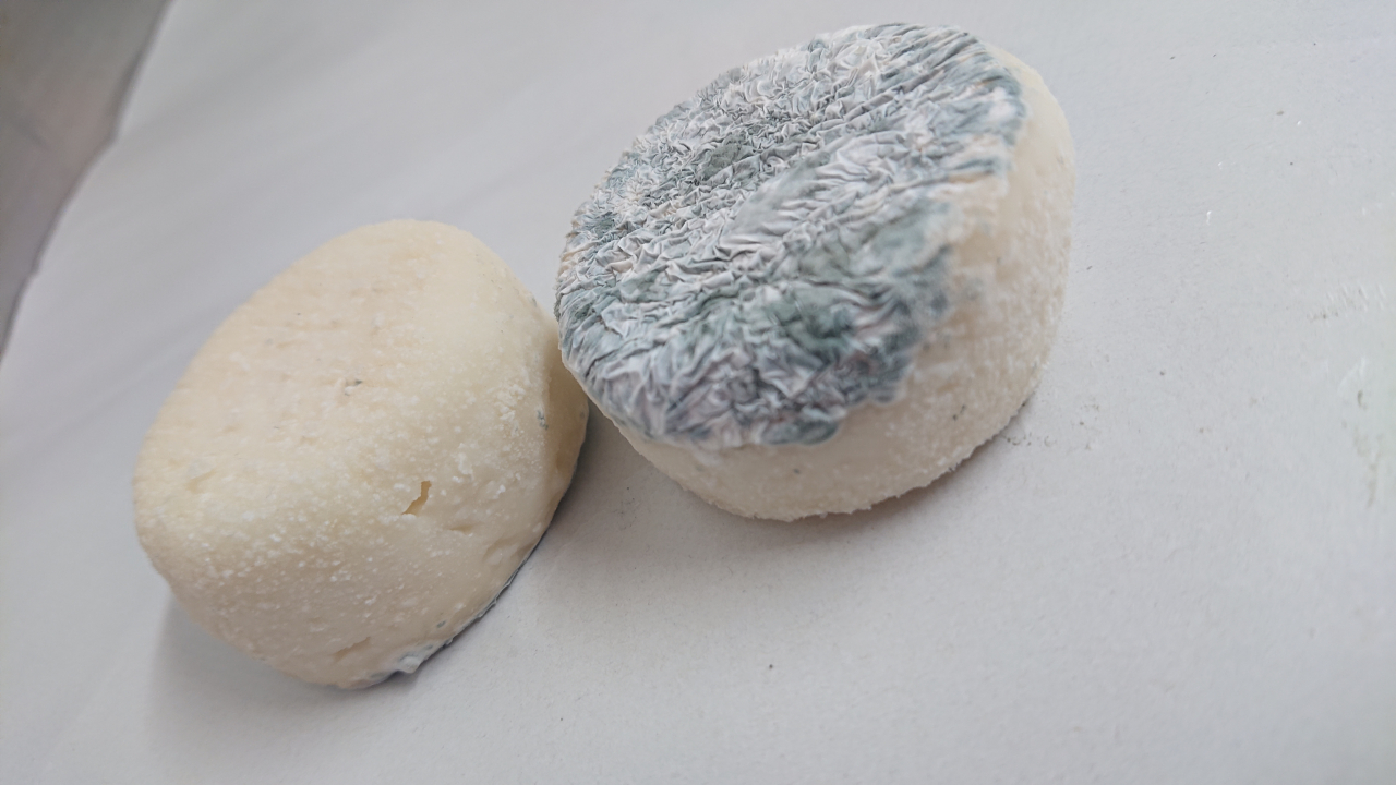 Crottin de chevre sec - 1 u - Earl Chèvres D'argonne - Locavor.fr