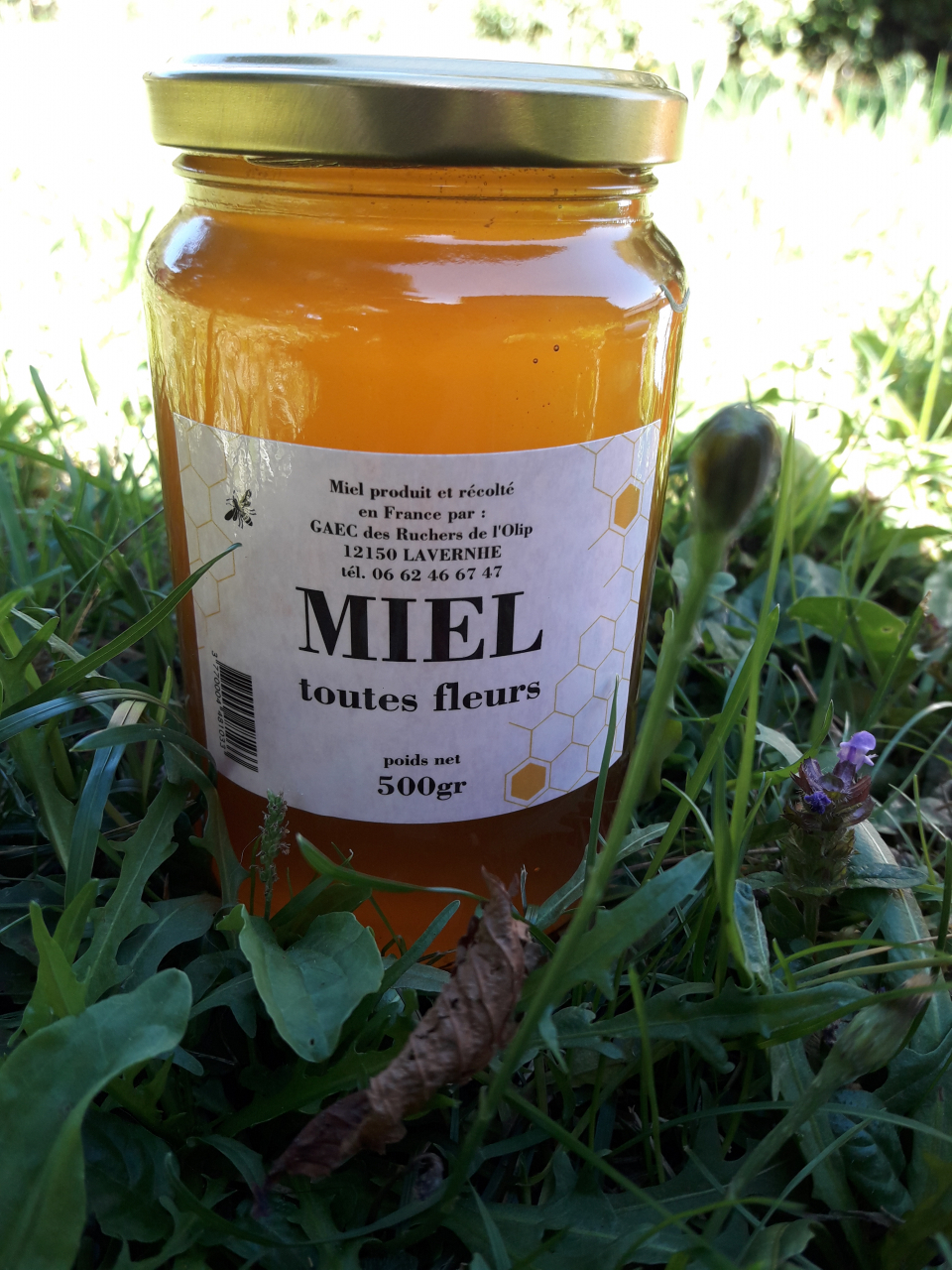 Miel polyfloral de sévérac - 0.5 kg - Gaec Des Ruchers De L'olip ...