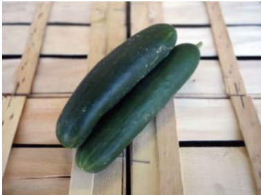 Concombre noa - 500 g - Le Potager De L'enclos - Locavor.fr