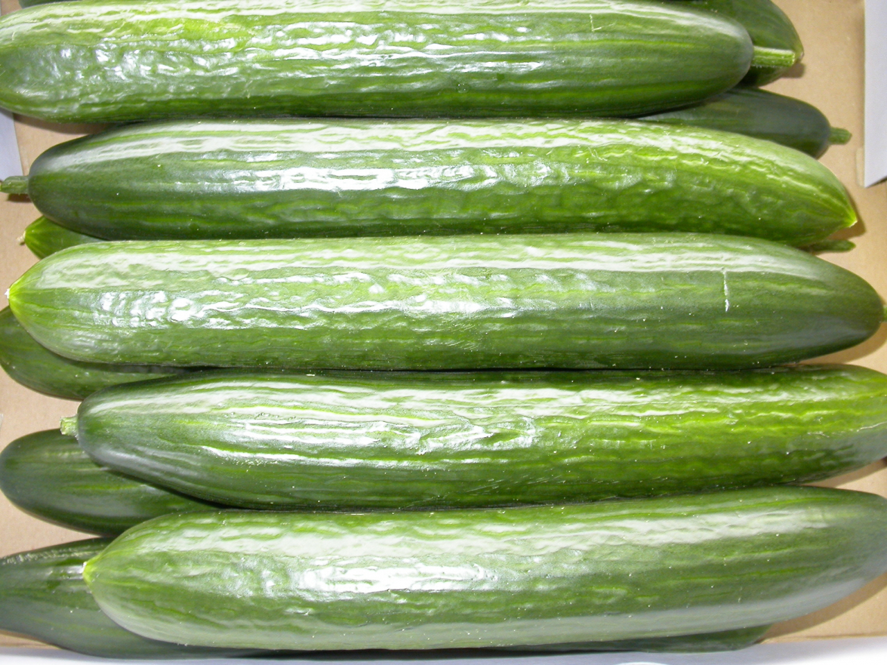Concombre - 1 u - La Ferme De Labarthe - Locavor.fr