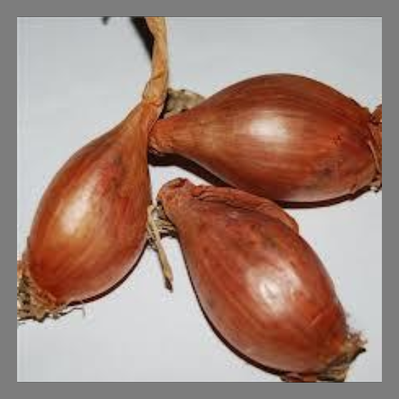 échalote demi-sèche - 200 g - Earl Grt - Locavor.fr