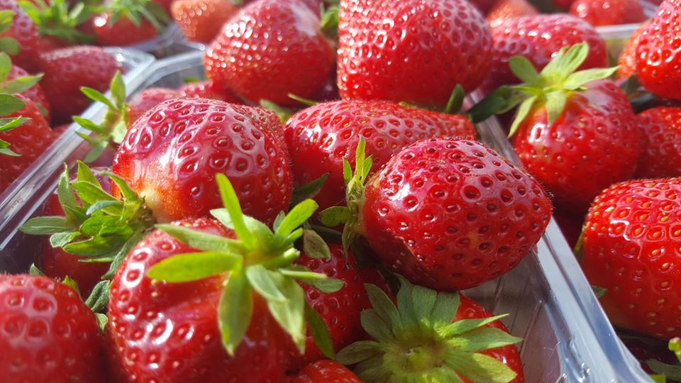 Fraises 500g - 500 g - Ferme Christen - Locavor.fr