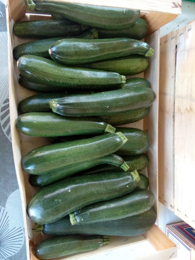 Courgette 100% bio - 1 kg - Le Jardin Du Ti Bout - Locavor.fr