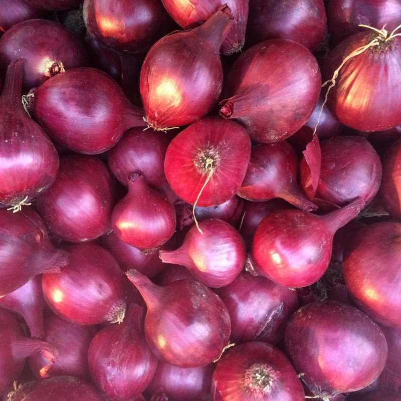 Oignon rouge bio - 2 formats - Vit'actif - Locavor.fr