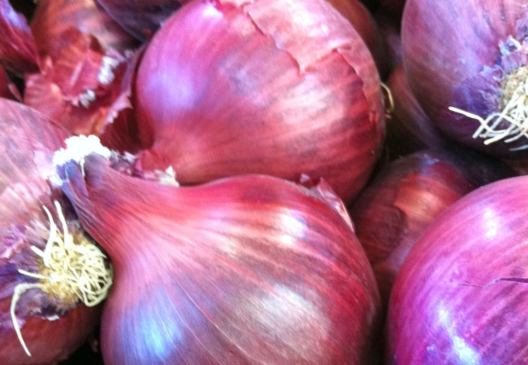 Oignons rouge bio 500g - 500 g - La Ferme Hozabeilles - Locavor.fr