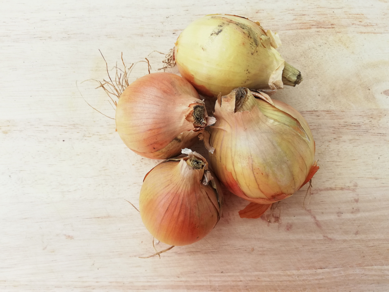 Oignon jaunes frais - 500 g - Ferme Des Chapelles - Locavor.fr