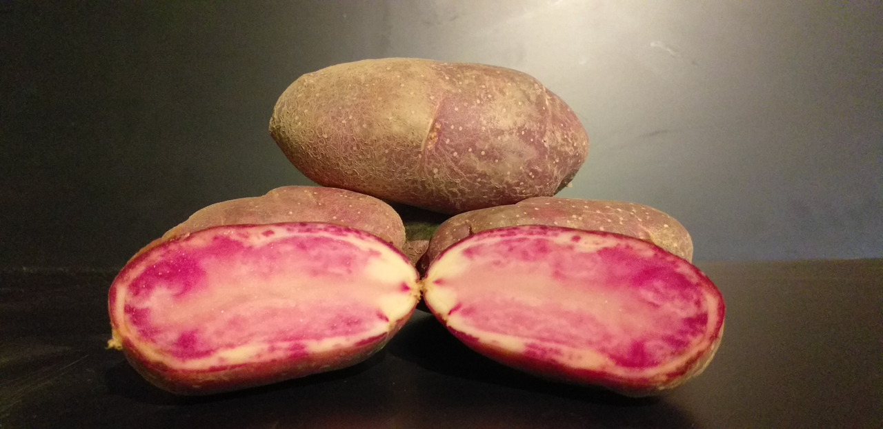 Pomme de terre rouge des flandres - 3 formats - Scea Blamatine- Le ...