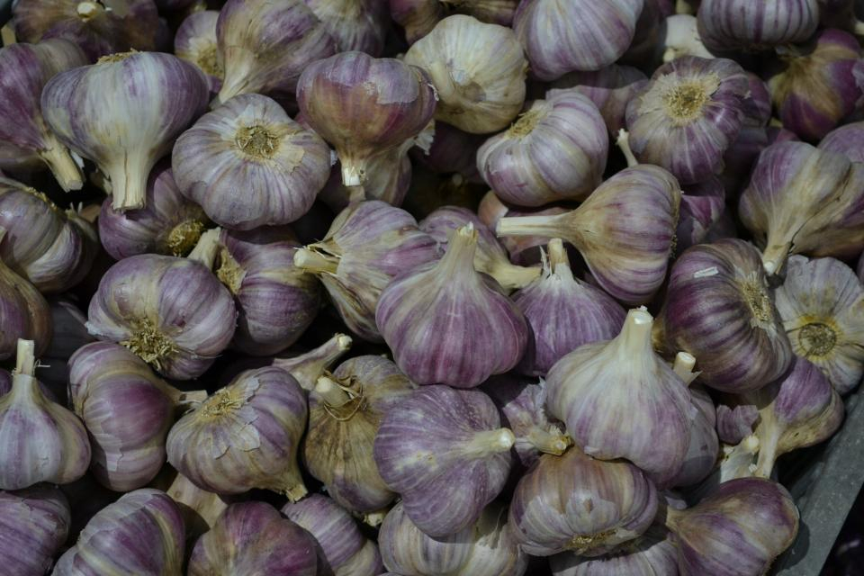 Ail violet - 0.5 kg - La Ferme De Labarthe - Locavor.fr