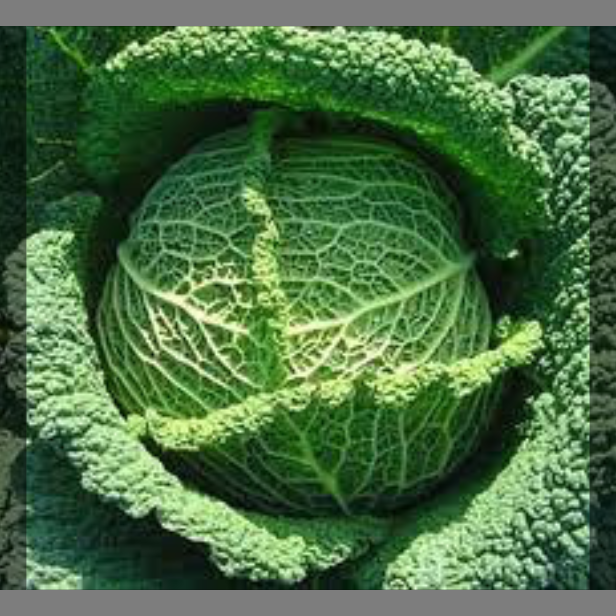 Chou pomme frisé - 500 g - Earl Grt - Locavor.fr