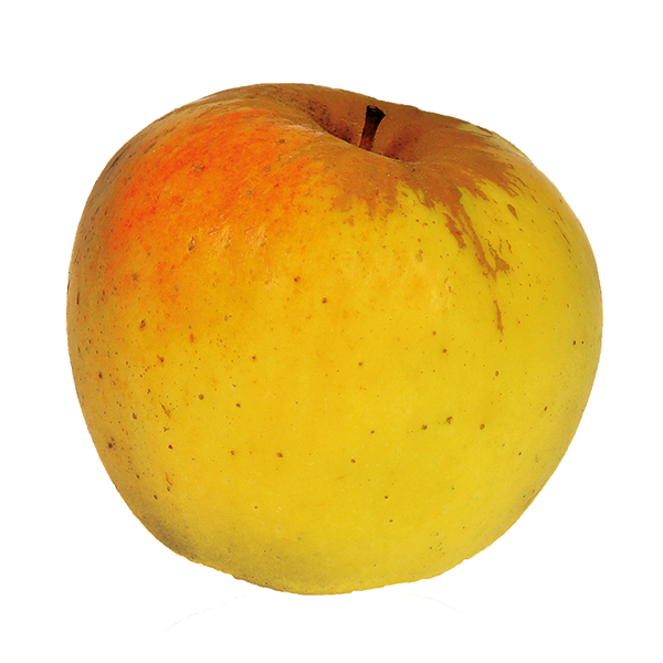 Pomme bio opale - 1 kg - La Ferme Des 4 Saisons - Locavor.fr