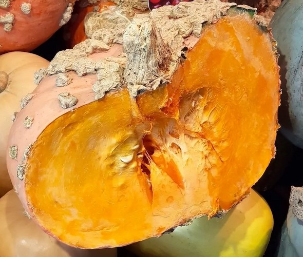 Demi potiron galeux d'eysines - 2.5 kg - Ferme De La Cour Bureau ...