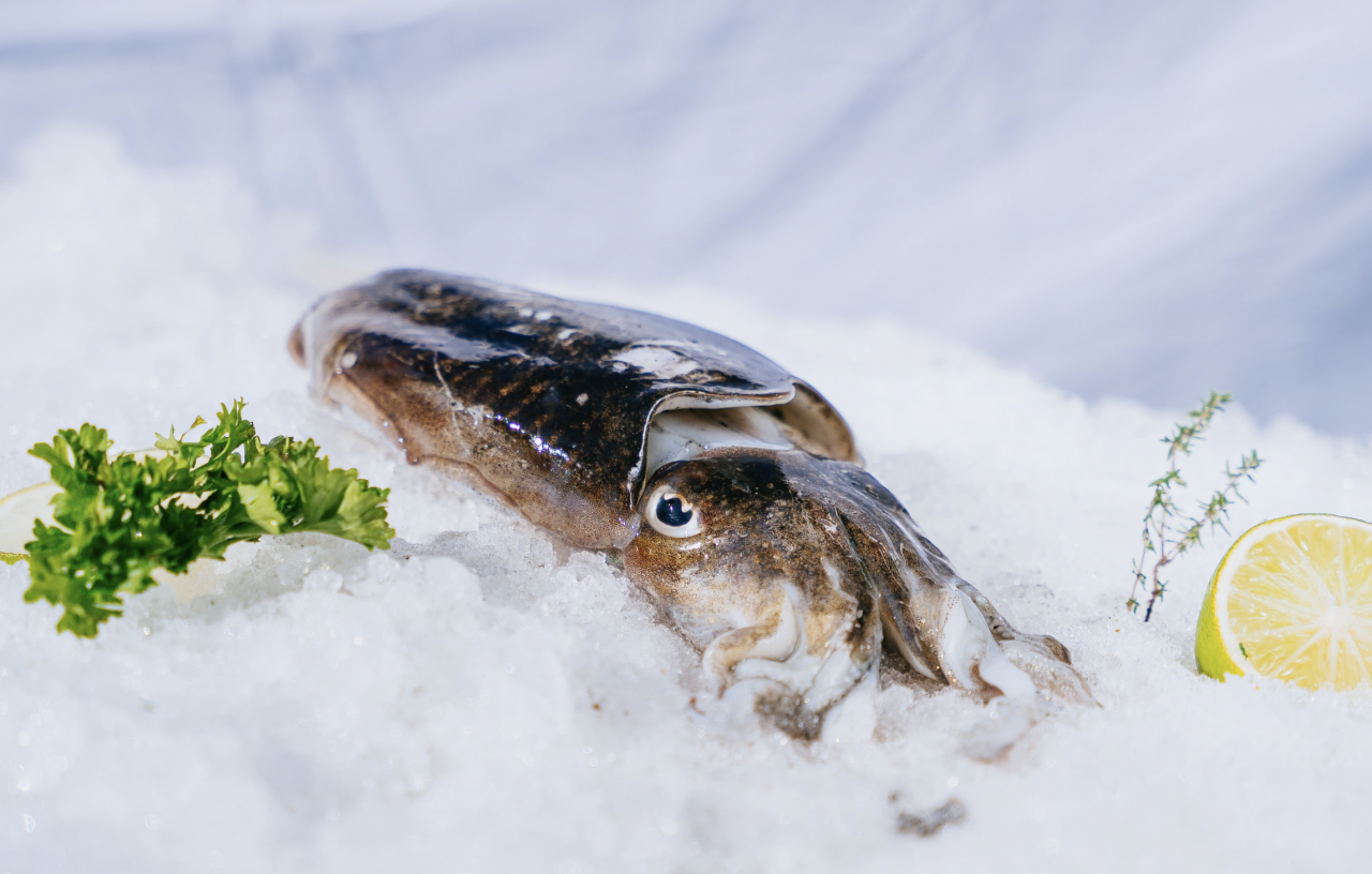 Seiche 500g - 500 g - Côté Fish Livraison Direct Pêcheur - Locavor.fr