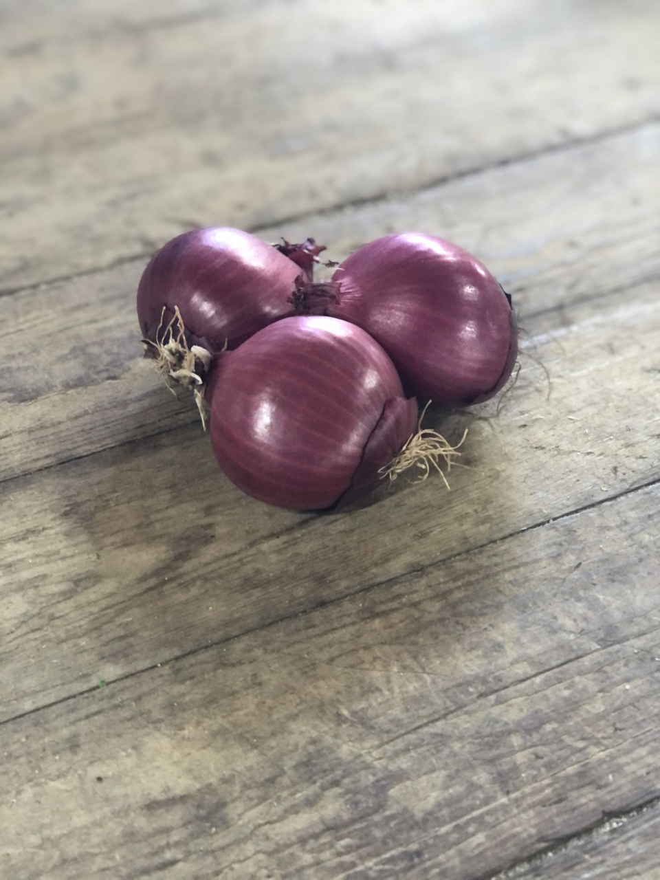 Oignon rouge bio - 1 kg - Earl Langevine - Locavor.fr