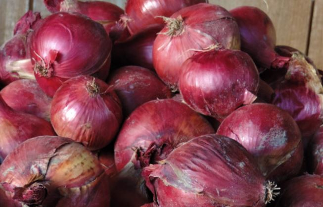 Oignon rouge bio - 500 g - Le Potager De L'enclos - Locavor.fr